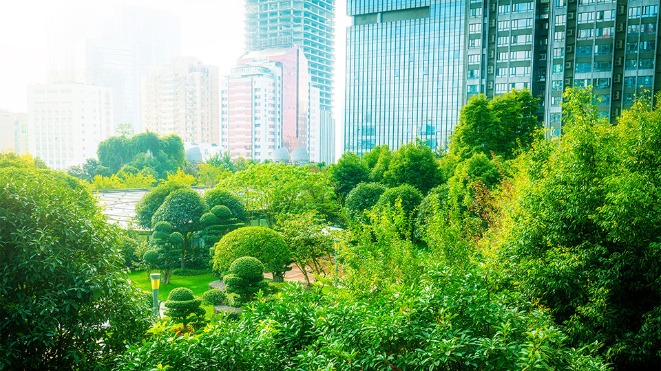 Elvacite | Specialty Resins that Power Performance